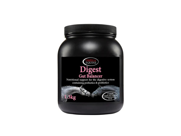 Omega Digest Gut Balancer – Dengie Equestrian and Country
